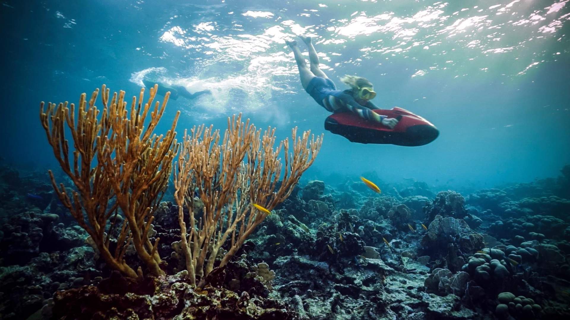 Seabob Tour in Aruba - Book Online from $125