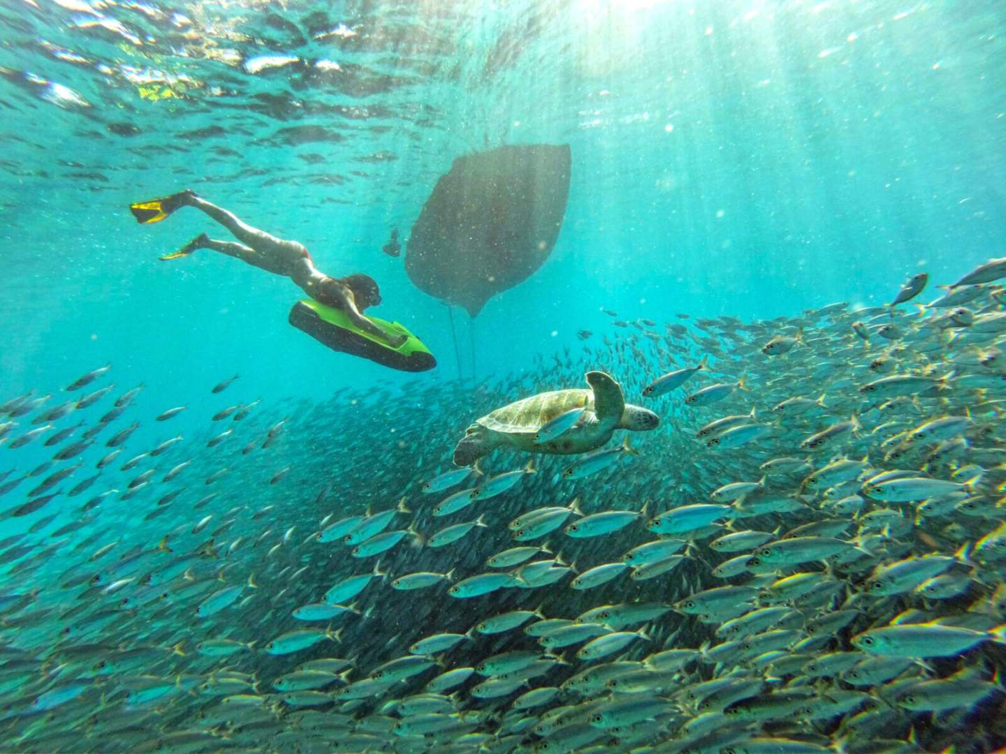 SeaBob Tour in Curacao - Book Online from $95