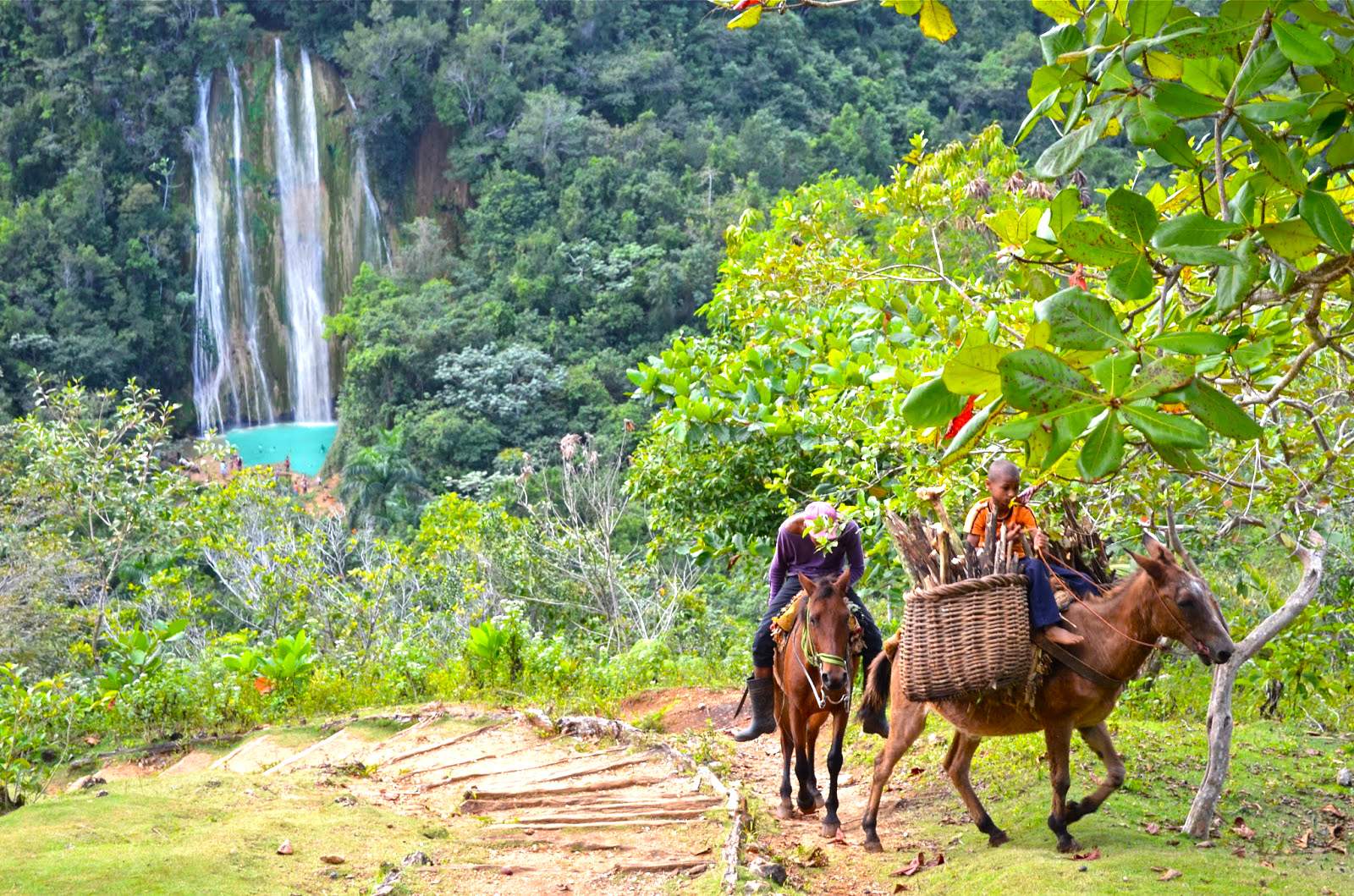 El Limon Waterfall Tour on Horseback - Book Online from $49