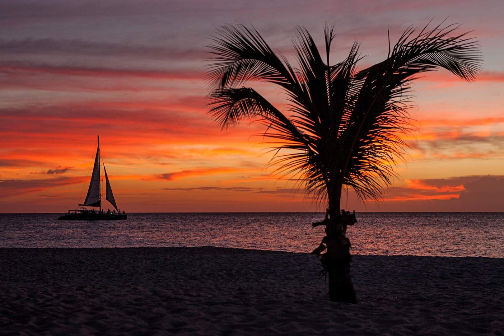 Catamaran Happy Hour Sunset Sail - Book Online from $59