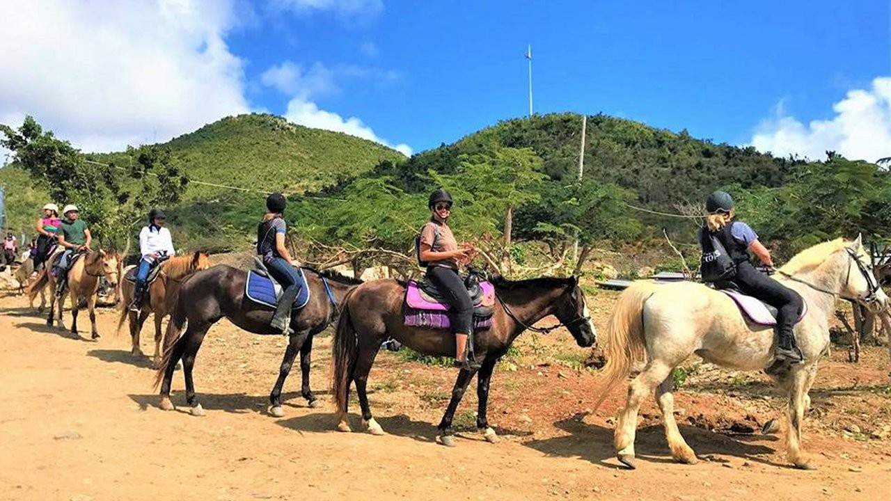 Seaside Nature Park St. Maarten: Complete Guide Before Visit (2025)